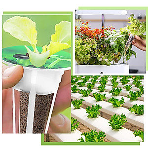 Ruzzut 120PCS Seed Pods Kit for Hydroponic Growing System,Hydroponics Garden Accessories for AeroGarden,Grow Anything Kit with 30 Grow Sponges for Indoor&Outdoor Seed Starting Supplies