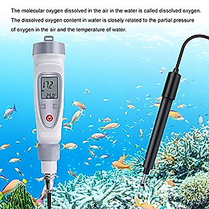 RCYAGO Dissolved Oxygen Meter with DO Probe, DO Meter Water Quality Monitor Freshwater Aquarium Test Kit, Digital Dissolved Meter Portable Pen Type Meter, 0.0-20.0mg/L ±0.3mg/L
