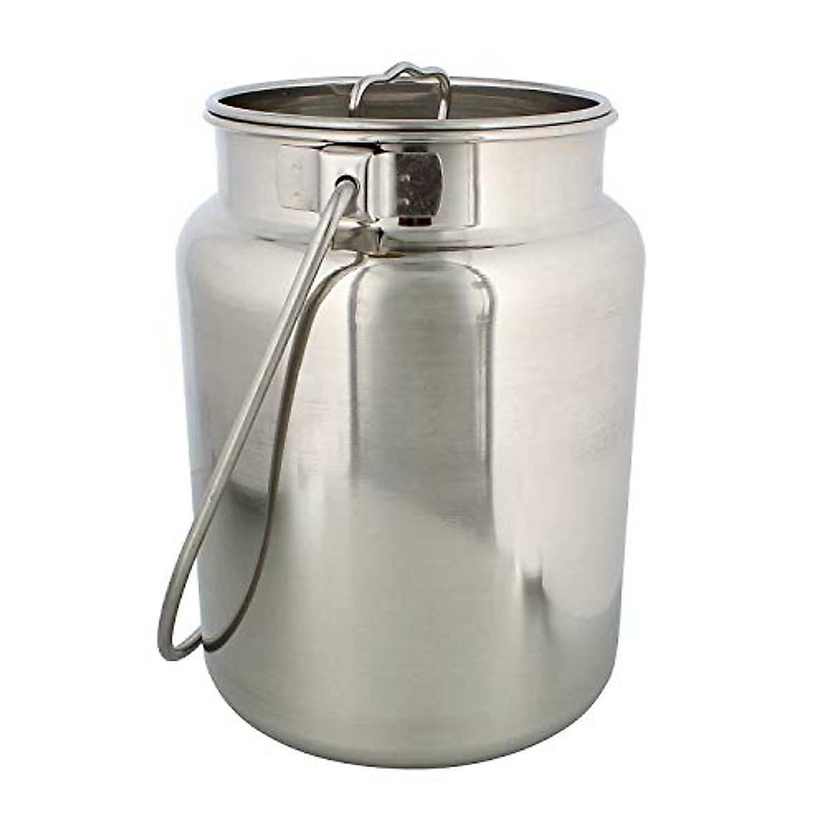 Rural365 Metal Milk Jug, 4 Liter (1 Gal) - Stainless Steel Jug, Rustic Milk Cans with Lid, Old Fashion Milk Jug Vases