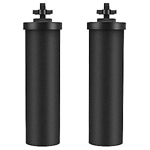 IT'S PURE EXPERT Water Filter, Replacement for Gravity Water Filter System, Black Purification Elements, 2 Packs