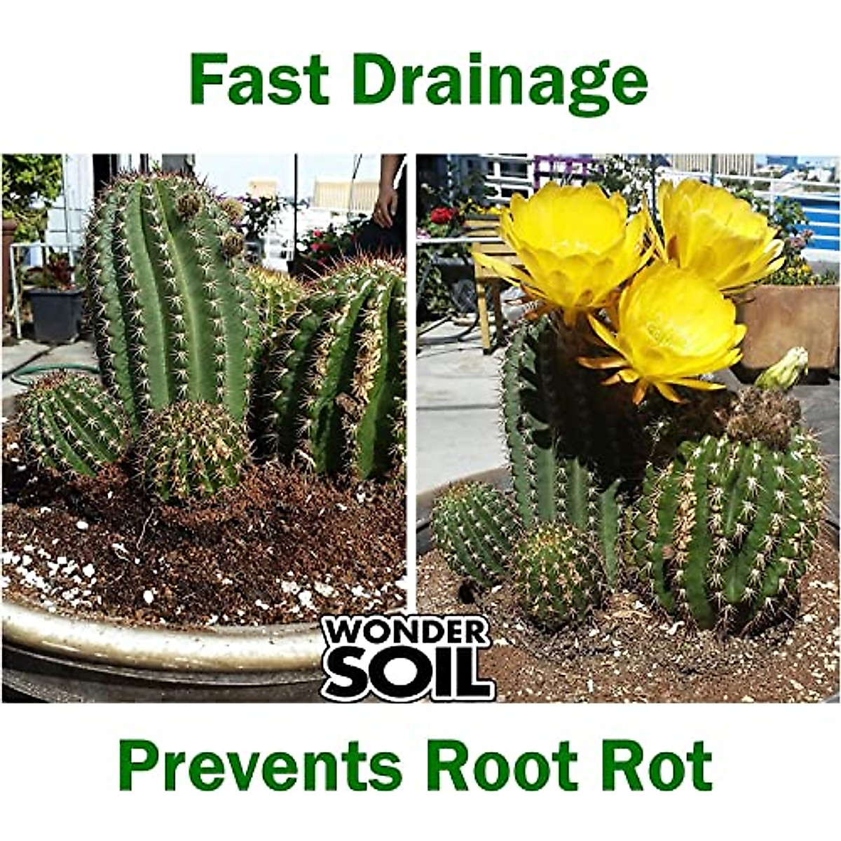 WONDER SOIL | Organic Cactus & Succulent Soil (12 Quarts). Fast Draining Ready to Plant Coco Coir Loaded w/Nutrients | 3 LBS Expands to 12 Quarts | Incl Worm Castings & Nutrients