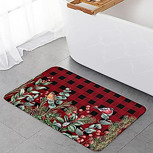 Kitchen Mat Rug Set of 2 Christmas Winter Eucalyptus Plants Red Black Buffalo Plaid Runner Rug Anti-Fatigue Comfort Memory Foam Standing Mat Non-Slip Floor Door Mat for Bedroom 18x30in+18x48in