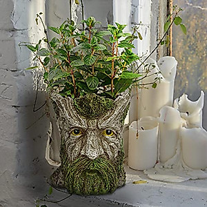 EIIORPO Face Planters Pots Head Planter, Garden Pots Resin Face Planter Flower Pots Succulent Planters Unique Planters for Indoor Outdoor Plants Garden Decorations Creative Gift. (A)
