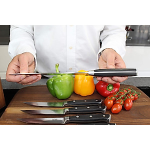 Taylor's Eye Witness Premier 9 Piece Kitchen Knife Wooden Block Set- Paring, All Purpose, Cook's, Santoku, Bread & 4 Steak Knives In Acacia Wood Holder. Full-Tang Triple Rivet. 15 YEAR GUARANTEE