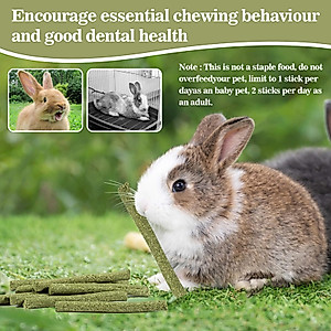 Sukh 300g Timothy Hay Chews Sticks - Natural Timothy Hay Sticks Rabbit Chew Sticks Rabbit Chew Toy Rabbit Toy Bunny Molar Treats Atural Teeth Grinding Toys for Squirrel Guinea Pigs Chinchilla