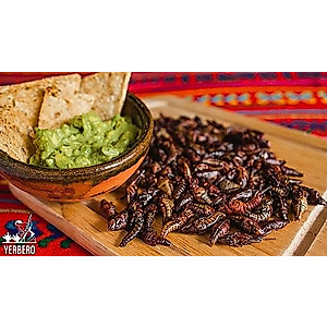 Yerbero - Fresh Chapulines From Oaxaca 1.03 oz (30gr) Adobado Spicy Flavor | All Natural Toasted Grasshoppers With Chili, Lime, Sea Salt and Garlic | Always Fresh (Not Dehydrated) Delicious, Exotic Mexican Snack. Imported From Mexico.