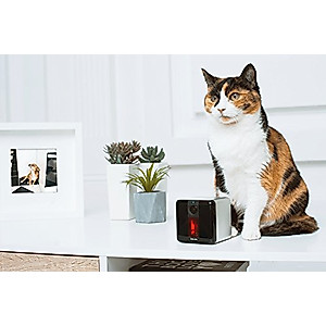 Petcube [2017 Item] Play Smart Pet Camera with Interactive Laser Toy. Remote Dog/Cat Monitoring with HD 1080p Video, Two-Way Audio, Night Vision, Sound/Motion Alerts. App-Enabled Pet and Home Safety