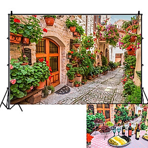 OFILA Italy Old Street Backdrop 10x6.5ft Flowers Towns in Italy Backdrop Umbria Spello Town Italian Themed Birthday Party Backdrop Medieval Village Photos Travel Pictures Backdrop Narrow Alley Photos