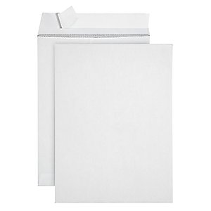 100 9 X 12 Self Seal Security Catalog Envelopes - Designed for Secure Mailing - Securely Holds up to 60 Sheets of Paper with Strong Peel and Seal Flap (100 Envelopes)
