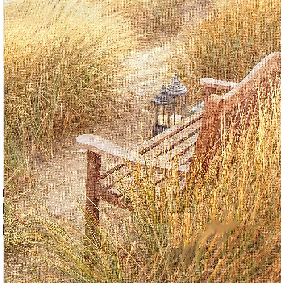 WholesaleTeak New Grade A Teak Wood Luxurious Outdoor Garden 5 Feet Bench - Terra Collection #WHBHTR5