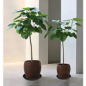 Bleuhome 4 Pack of 16 inch Plant Saucer (13.5" Base), Heavy Duty Plastic Plant Tray for Pots, Flower Water Trays for Indoors, Bird Bath Bowls, Plant Drip Saucers for Planter 14"/15"/16" (Black)