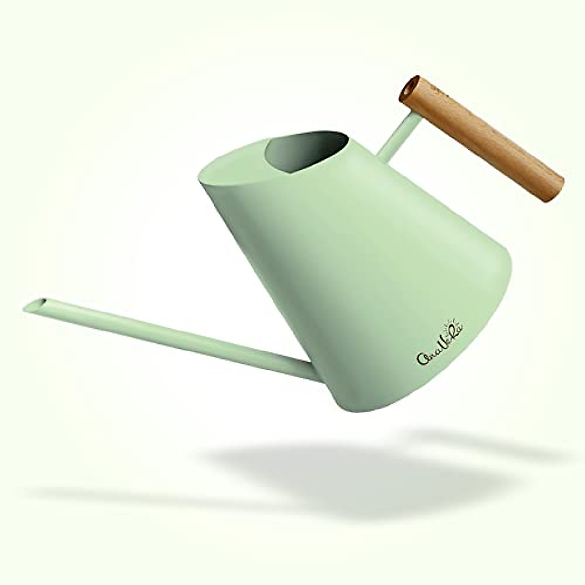 Grehge an Indoor Plants, Small Stainless Water Can Wooden Handle for House and Office Bonsai Flowers, Cute Watering Can Garden Sculpture Outdoor Decoration