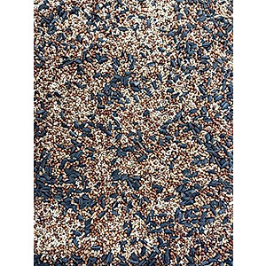 English Creek Supply Corn Free Special Mix Wild Bird Seed (40 Lb Bag)