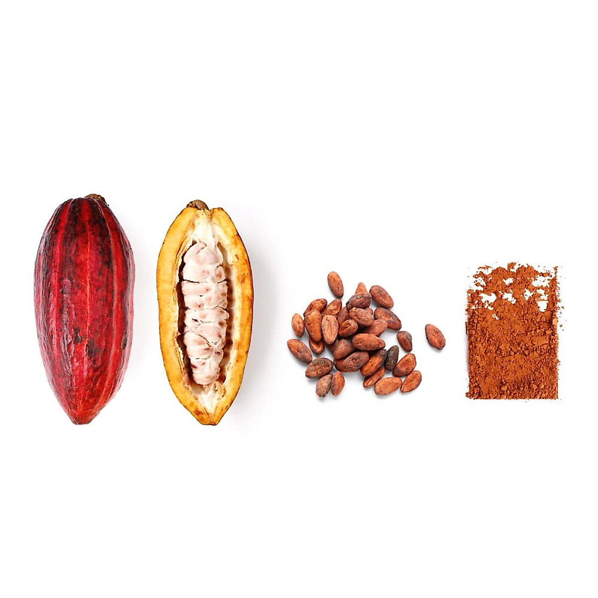 Fresh Cacao Seeds for Planting - Wet Cocoa Seeds - Make Chocolate, Great as Bonsai (4 Seeds)