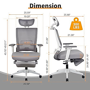 Foldable Ergonomic Office Chair, High Back Desk Chair with Footrest, Mesh Back Computer Chair with 2D Headrest, 2D Armrest, Adjustable Lumbar Support, Soft Sponge Seat, Swivel Task Chair, Gray
