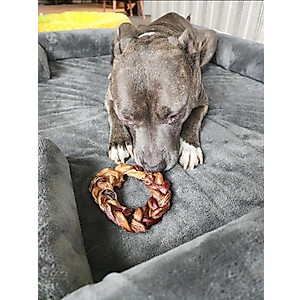 hotspot pets Braided Bully Stick Rings for Dogs - (3 Pack) Premium All Natural Long Twisted Beef Pizzle Dog Chew Treats - Grain Free Fully Digestible Rawhide Alternative Bones