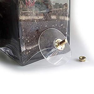 DANXQ 3.3" M8 Large High Transparency Long Screw Thread Strong Glass Suction Cup with Lock Nut,4 Piece/Pack