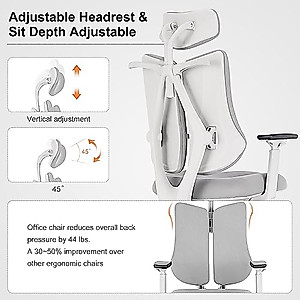 BV Dual Backrests Ergonomic Office Chair, Lumbar Support Office Desk Chair Back Support, Breathable mesh Office Chair 3D Adjustable Armrest (Grey)