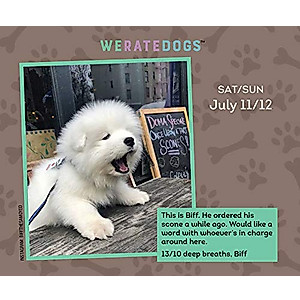 WeRateDogs 2020 Day-to-Day Calendar
