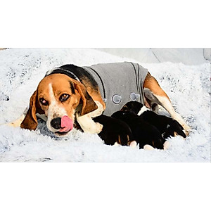 Dog Anxiety Vest with Artificial Nipple| Dog Belly wrap, reducing Anxiety, Pain| Dog weaning Control Suit| Dog Recovery Suit for Injury.