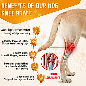 Dog ACL Knee Leg Brace, Dog Hip Brace for Front Torn and Back ACL Hind Rear Legs, Comfortable & Adjustable Tailwind Dog Hip Dysplasia Brace for Dog Arthritis, Luxating Patella with 10X Support (XL)