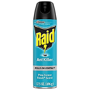 Raid Ant Killer Spray Pine Forest 17.5 Ounce (Pack of 1)