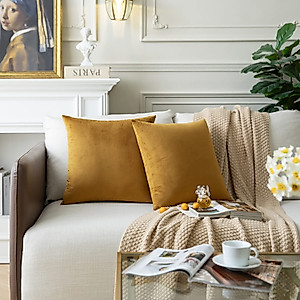 Colormz Set of 2 Golden Brown Colored Solid Velvet Throw Pillow Covers, Cozy Soft Accent Pillow Cases for Sofa Couch Bed and Living Room - 18"x18"