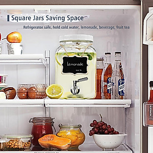 1 Pack 1 Gallon Glass Drink Dispensers for Parties. Beverage Dispenser w Scale Mark. SCREW Cap w Silicone Gasket 100% Airtight, Stainless Steel Spigot 100% Leakproof. Laundry Detergent Dispenser