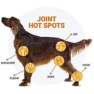 Cosequin MSM Joint Health Supplement for Dogs - 180 Chewable Tablets