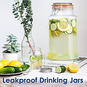 Qianfenie 1.2 Gallon Airtight Glass Jars with Hinged Lids, Wide Mouth Glass Storage Jars for Flour, Pasta, Cookies, Large Capacity, Sturdy and Heavy Duty, 1 Pack