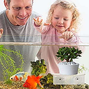 GANAZONO 1 Set Plant Support Plant Shelf Bonsai Stand Indoor Plant Pot Clear Plant Pot Wall Mount Floating Shelf Suction Cup Pot Racks Practical Plant Holders Suction Cup Plant Holders