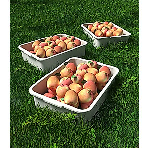 5-Pack Commercial Bus Tubs Box/Tote Box, White Plastic Storage Bin with Handles/Wash Basin Tub (8 Liter)