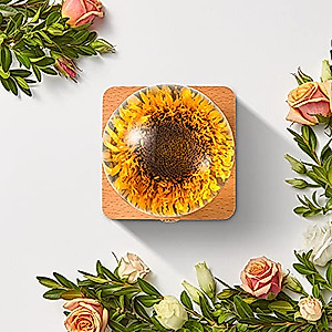 MISS LI GARDEN Forever Teddy Sunflower Crystal Ball with LED Lights,Best Gifts for Her Wife Girlfriend Women, Anniversary, Mothers Day, Birthday, Valentine's Day Home Décor