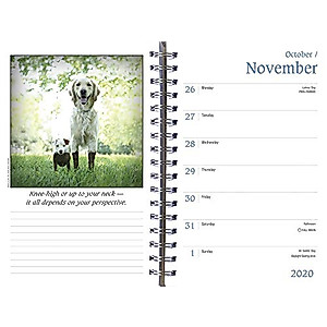 2021 Dogma: A Dogs Guide to Life 16-Month Weekly Planner