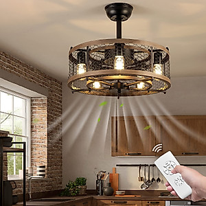 MADSHNE 20'' Caged Ceiling Fans with Lights Remote Control, Small Farmhouse Ceiling Fans with Light, Black Rustic Bladeless Ceiling Fans for Bedroom Kitchen