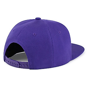 Bear Hip-Hop Snapback Hat Embroidered Purple Baseball Cap Big Scary