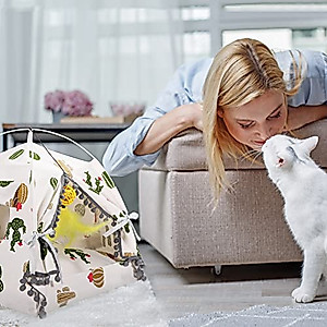 Grand Line Cat Bed Cat House with Mat, Foldable Cat Tent Kitten Teepee Indoor Outdoor, Portable Cute Nest for Cat Dog Puppy up to 10 lbs, Washable Cushion, All Seasons Available (Cactus)