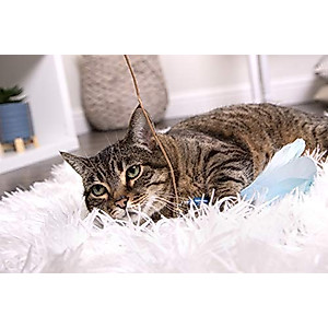 SmartyKat Frisky Flyer Feather Wand Cat Toy, Extendable Up to 24" - Blue, One Size