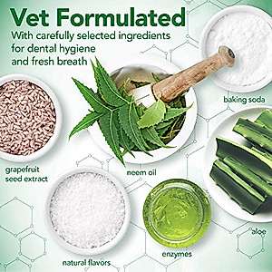 Vet’s Best Enzymatic Dog Toothpaste | Teeth Cleaning and Fresh Breath Dental Care Gel | Vet Formulated | 3.5 Ounces