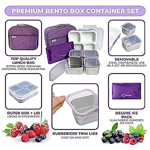 Stainless Steel Bento Lunch Box for Adults Kids with Ice Pack Insulated Lunch Bag, Leak-Proof Snack Boxes, Metal and Plastic Portion Control School Lunch Containers, 4 Compartments, 36 oz Lilac Purple