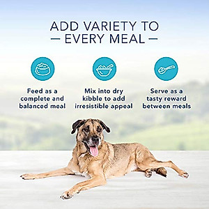 Blue Buffalo Homestyle Recipe Natural Senior Wet Dog Food, Chicken 12.5-oz can (Pack of 12)