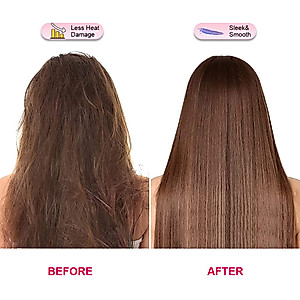 Professional Negative Ionic Hair Dryer, 1875W Salon Lightweight Blow Dryer with Pro AC Motor, Fast Dryer with Concentrator Nozzle and 2 Speed & 3 Heat Settings, Black