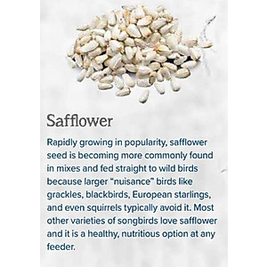 Backyard Seeds Safflower Bird Seed for Cardinals (50 Pounds)