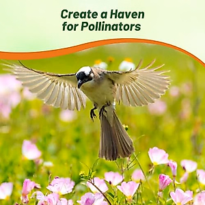 Outsidepride 5000 Seeds Perennial Oenothera Speciosa Showy Evening Primrose Wild Flower Seeds for Planting