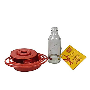 Birds Choice Best-1 8oz. Hummingbird Feeder (Pack of 2)
