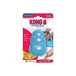 KONG - Puppy Toy Natural Teething Rubber - Fun to Chew, Chase and Fetch - Blue, for Medium Puppies