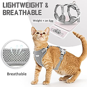 Supet Cat Harness and Leash for Walking Escape Proof, Adjustable Harness for Cats, Easy Control Small Cat Harness for Medium Large Kitten and Dogs