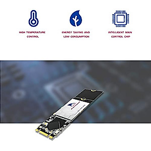 256GB Internal SSD M.2 2280 NGFF SHARKSPEED Plus 3D NAND SATA III 6 Gb/s,Internal Solid State Drive for Notebooks Desktop PC (M.2 2280 256GB)