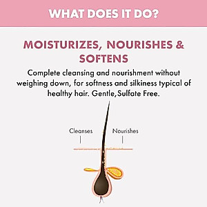 Alfaparf Milano Semi Di Lino Moisture Nutritive Low Shampoo - Sulfate Free Shampoo for Color Treated Hair - Moisturizing Hair Shampoo for Dry Hair - Paraben & Paraffin-Free (1000 ml / 33.8 oz)