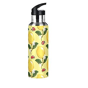 xigua Ladybug Water Bottle Double Walled Stainless Steel Leak Proof Thermo Flask for Sports Gym Cycling Outdoor,20 oz.